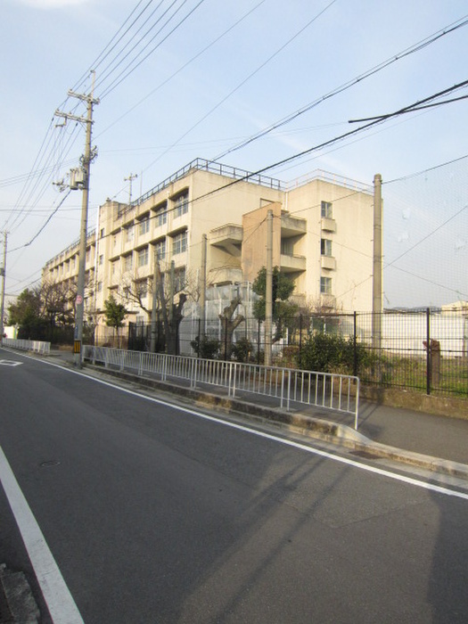 アルカディアII（大阪府東大阪市）の建物情報 | CHINTAIで賃貸マンション・賃貸アパート探し